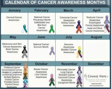 Cancer Awareness month - The Cancer Treatment and Support Foundation Inc.